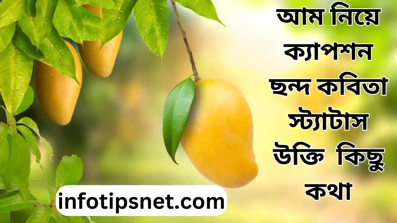 আম নিয়ে ক্যাপশন, ছন্দ,কবিতা, স্ট্যাটাস, উক্তি, কিছু কথা - Info Tips Net
