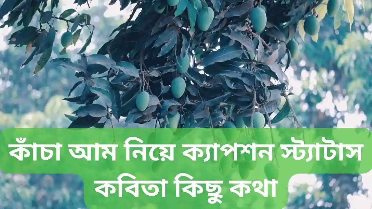 কাঁচা আম নিয়ে ক্যাপশন, স্ট্যাটাস, কবিতা, কিছু কথা - Info Tips Net